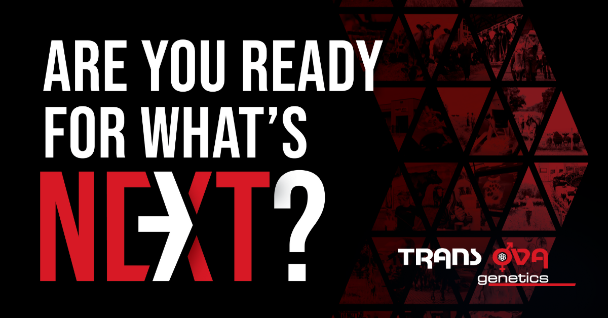 Ready for What’s Next? | Trans Ova Genetics